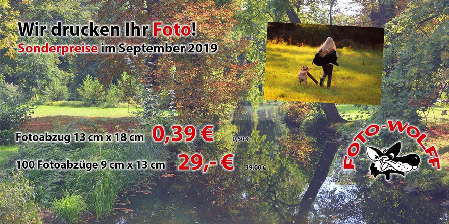 Foto Wolff | Fotograf & Fotofachgeschäft in Dinslaken