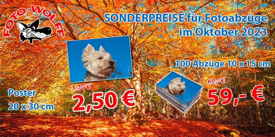 Foto Wolff | Fotograf & Fotofachgeschäft in Dinslaken