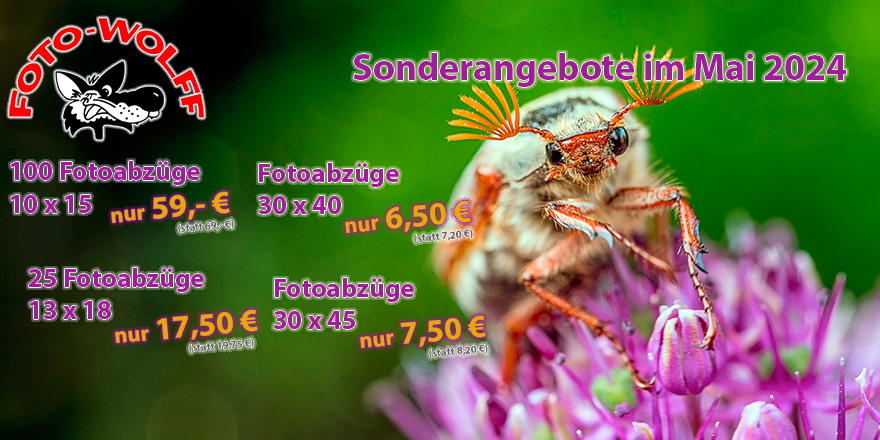 Foto Wolff | Fotograf & Fotofachgeschäft in Dinslaken